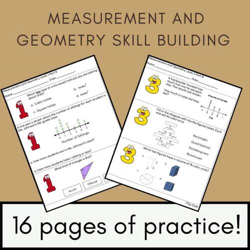 5th Grade Measurement And Geometry Skill Building Accessible Learning