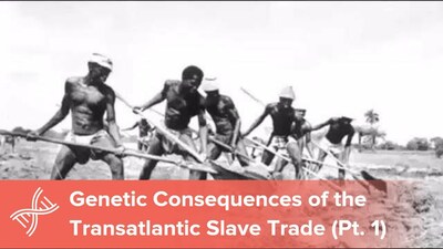 The Genetic Consequences of the Transatlantic Slave Trade, Part 1 - BYU ...