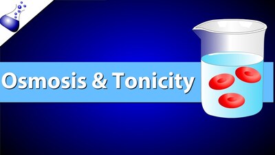 Osmosis and Tonicity - BYU-Idaho