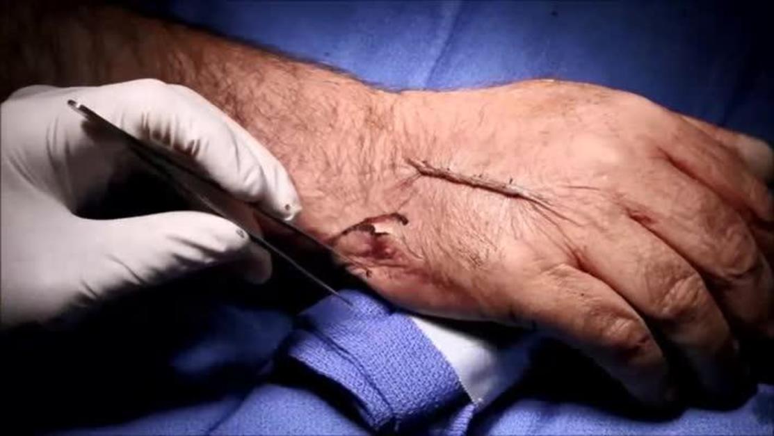 Plastic and Reconstructive Surgery