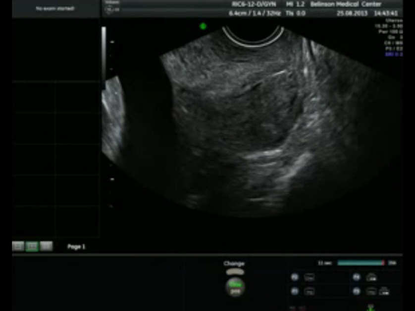 Obstetrics & Gynecology