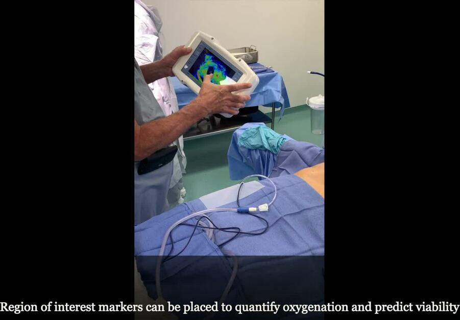 Plastic and Reconstructive Surgery