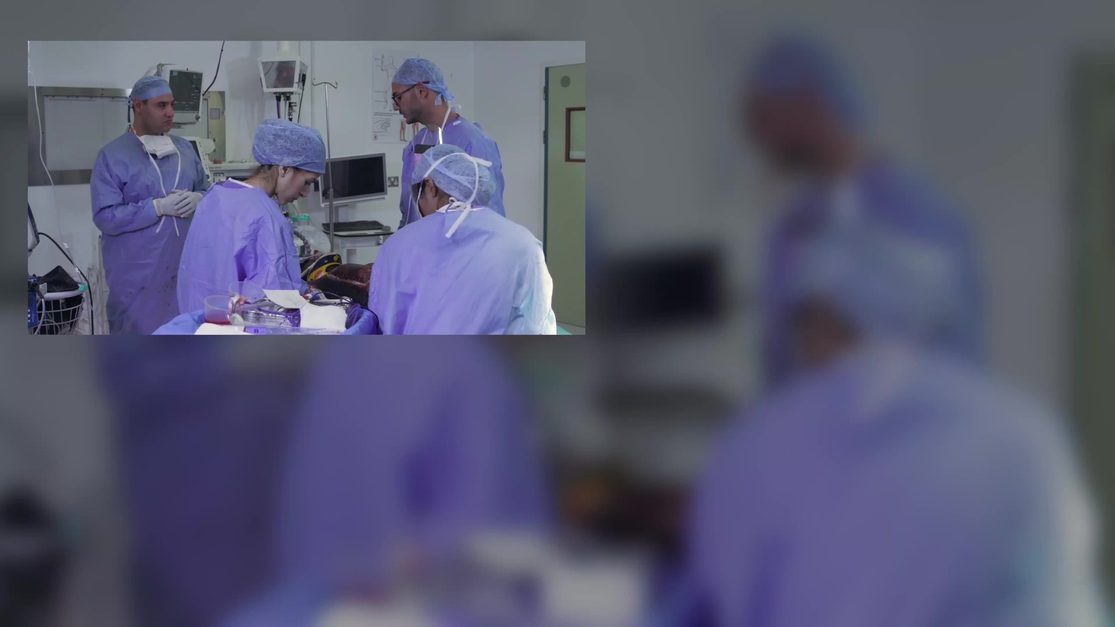 Plastic and Reconstructive Surgery – Global Open