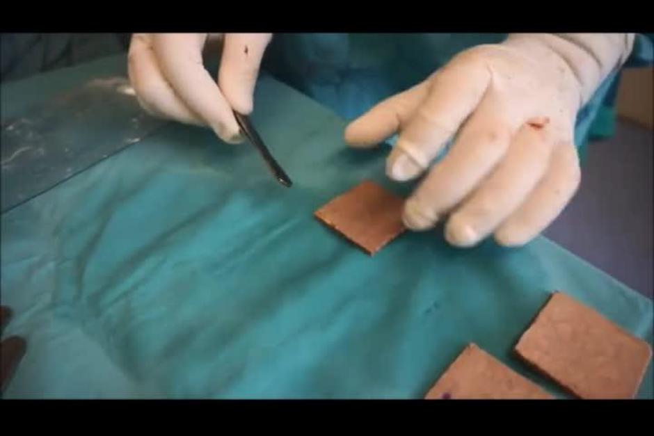 Plastic and Reconstructive Surgery