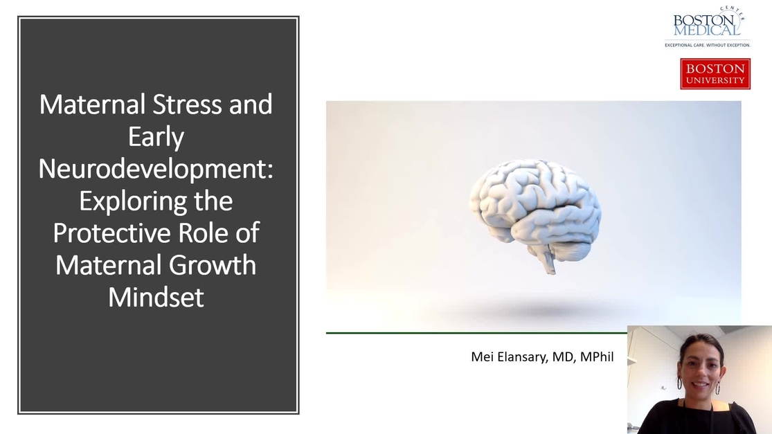 Journal of Developmental & Behavioral Pediatrics