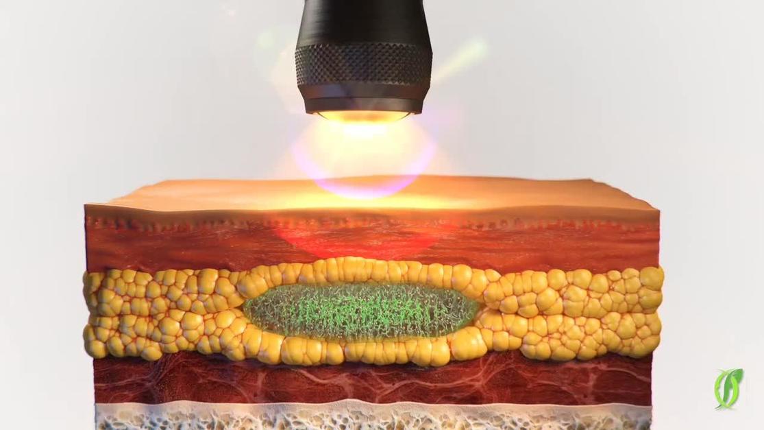 Plastic and Reconstructive Surgery