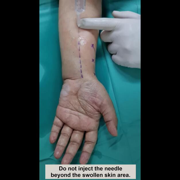 Plastic and Reconstructive Surgery