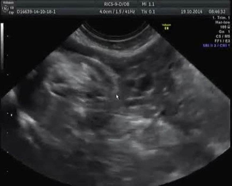 Obstetrics & Gynecology