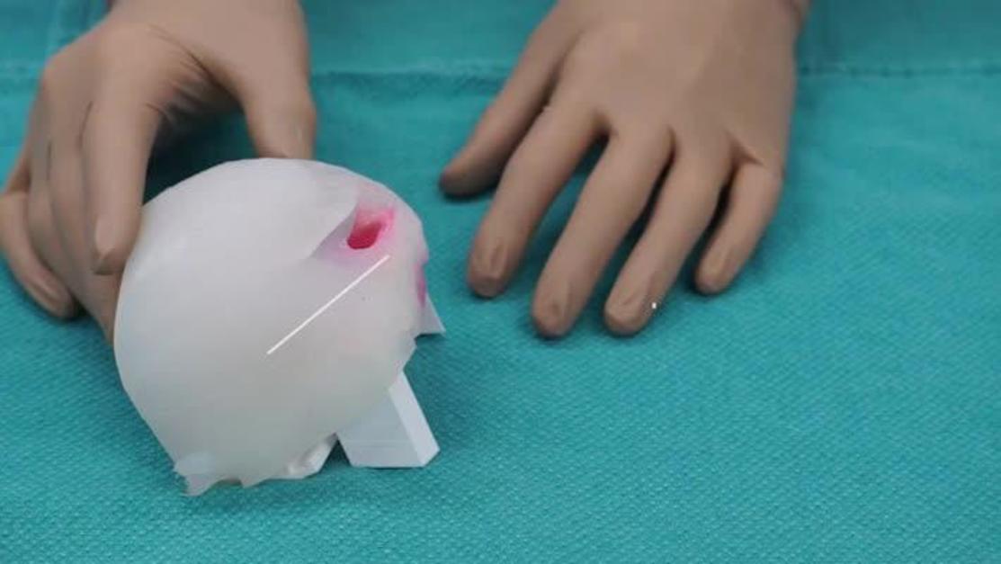 Plastic and Reconstructive Surgery