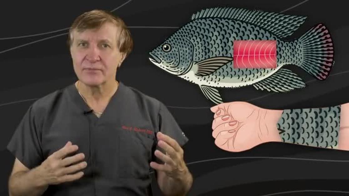 Plastic and Reconstructive Surgery