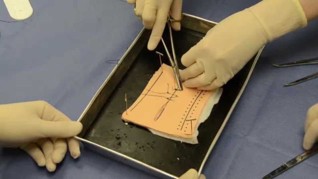 Plastic and Reconstructive Surgery – Global Open