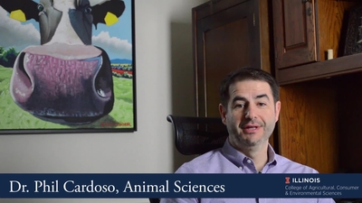 Phil Cardoso - Department of Animal Sciences - Illinois Media Space
