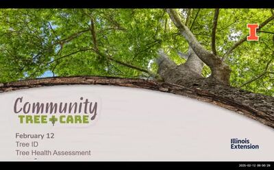 Tree Care Series 2025: Tree ID Tree Health Assesment - Illinois Media Space
