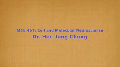 MCB 461- Cell and Molecular Neuroscience, Conversation with Dr. Hee ...