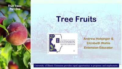 Fruits 11 - Illinois Media Space