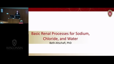 BIB - REC Basic Renal Processes for Sodium Chloride and Water - UW ...