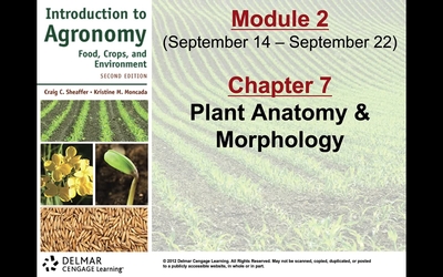 Lecture 6| Part 1 - UW-Madison Kaltura MediaSpace