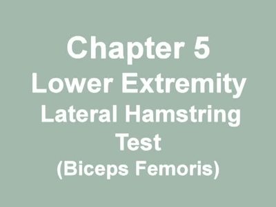 MMT_knee_flexion_lateral - Lane Community College Media