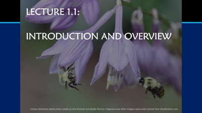 LECTURE 1.1 - University of Georgia Online Learning