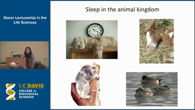Storer Lecture - Amita Sehgal 1-15-15 - University of California, Davis