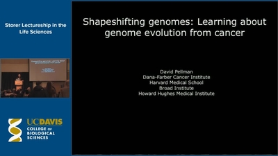 Storer Lecture - David Pellman 3-7-18 - University of California, Davis