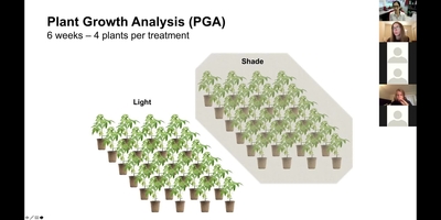 PLS100BL Live Session - Lab 5 - Plants Growth Analysis and Fruit Load ...