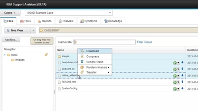 IBM Support Assistant 5.0 Team Server: Using File Actions - IBM Mediacenter