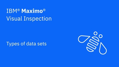 Types of data sets in IBM Maximo Visual Inspection - IBM Mediacenter