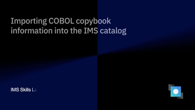 Webinar: Importing COBOL copybook information into the IMS catalog ...