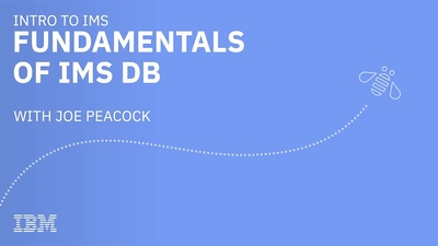 Intro to IMS - Fundamentals of IMS DB - IBM Mediacenter