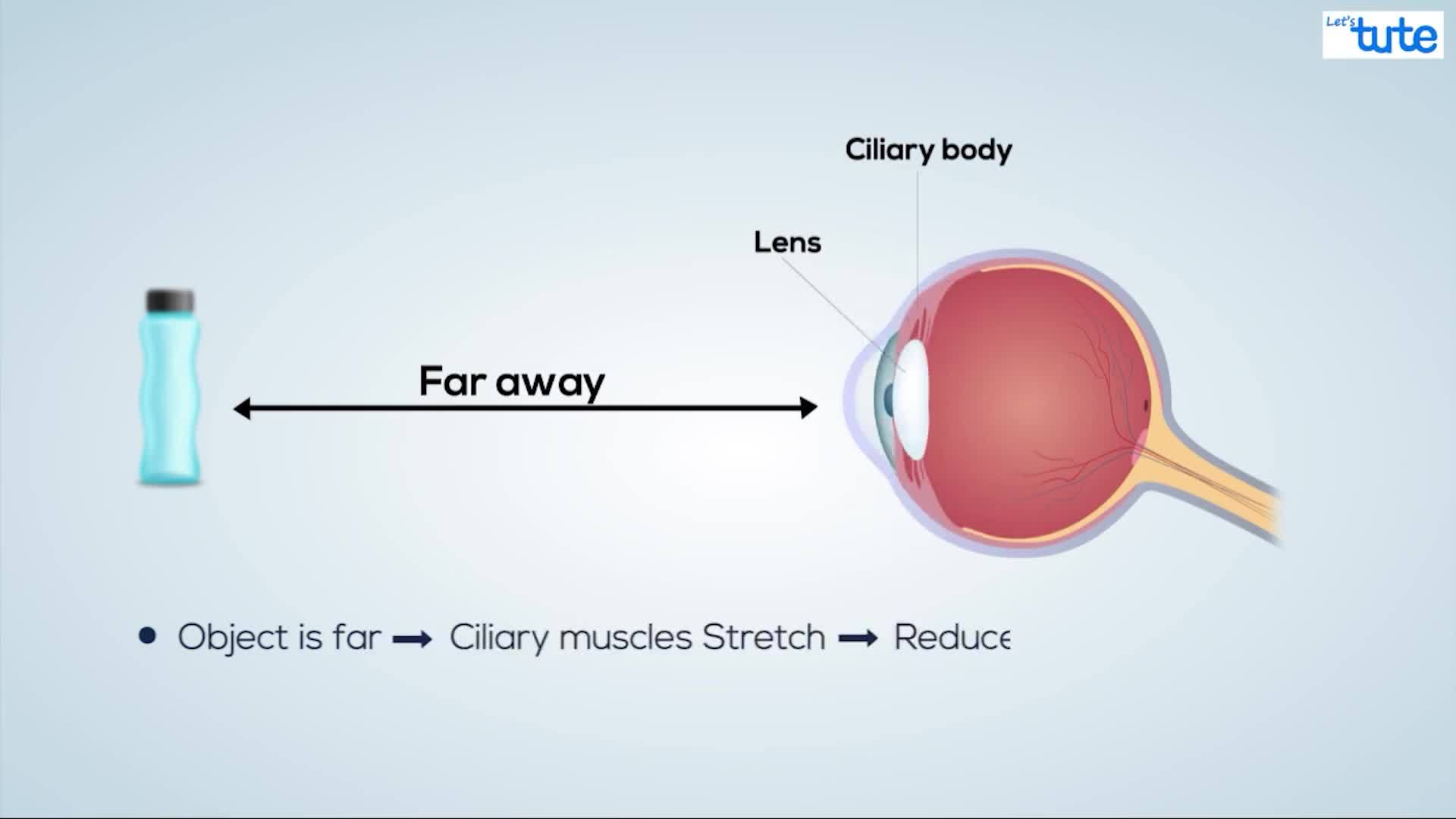 hyperopia diagram gcse