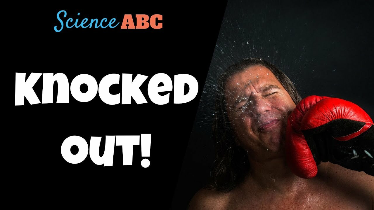 What Happens When You Get 'Knocked Out'? | Science PE