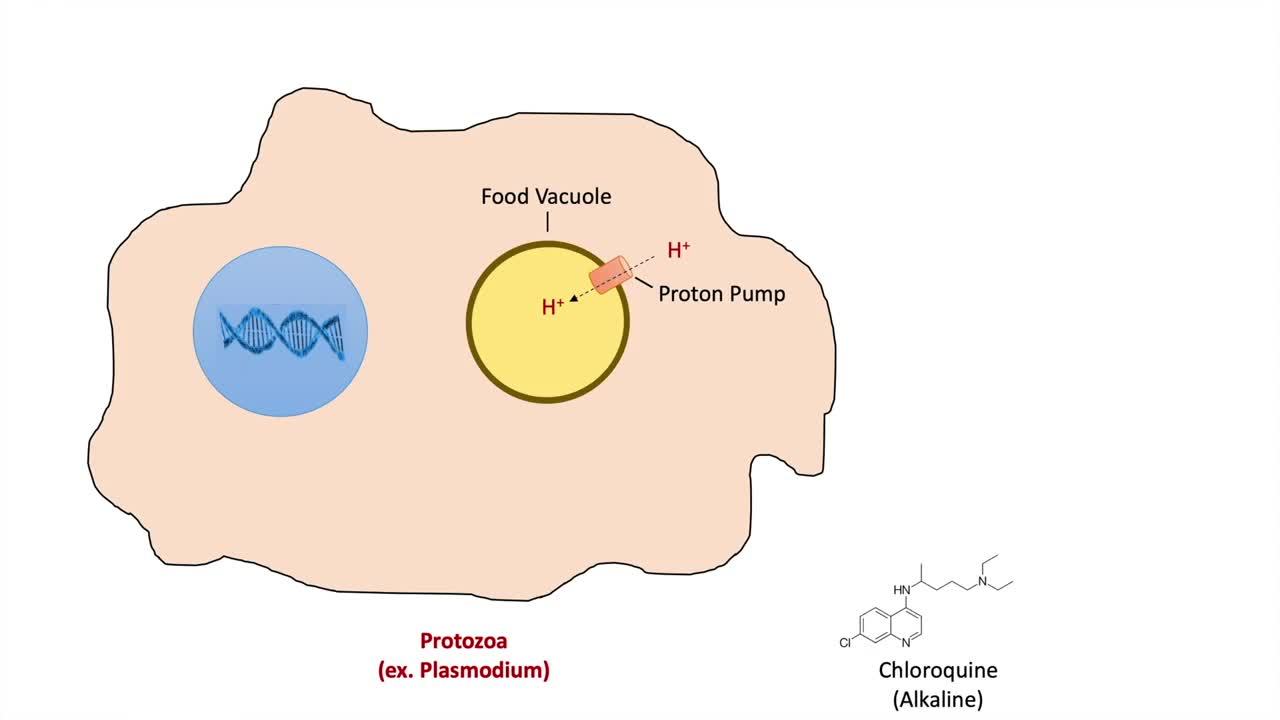 chloroquine mechanism of action in malaria