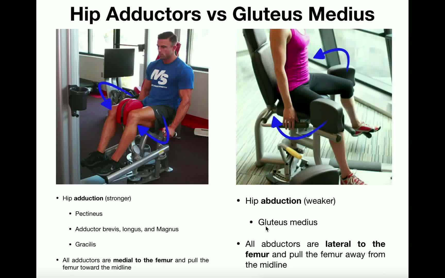 hip abduction adduction difference