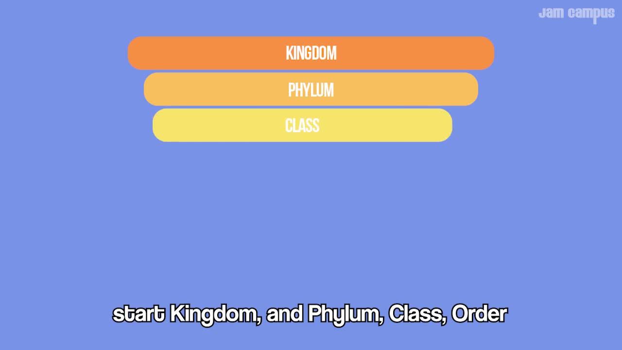 Scientific Classification Song (Taxonomy) | Science