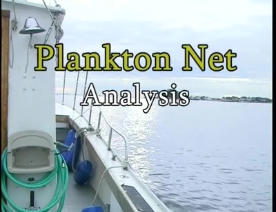 Plankton Net Analysis (Module 3) - LEARNscape: Empire State University