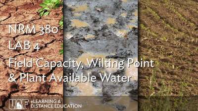 LAB 4 Field Capacity, Wilting Point & Plant Available Water ...