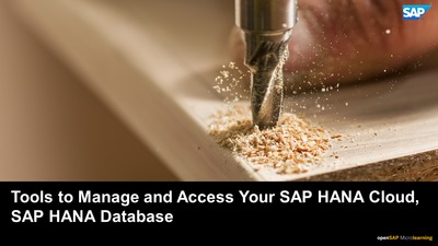 Tutorial 3: Tools to Manage and Access Your SAP HANA Cloud, SAP HANA ...