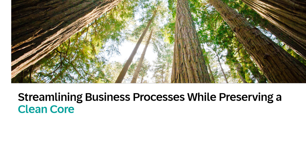 SAP Video - Streamlining Business Processes While Preserving a Clean Core