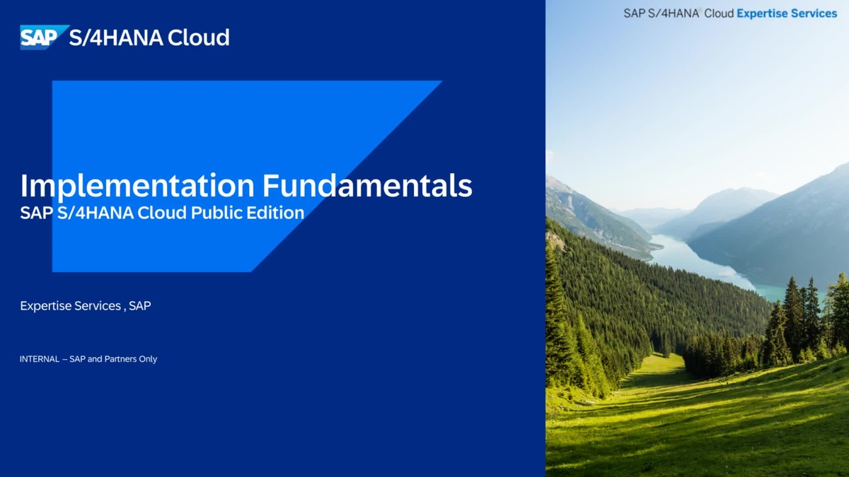 SAP Video - Implementation Fundamentals - 03 Discover Phase - CHINESE ...
