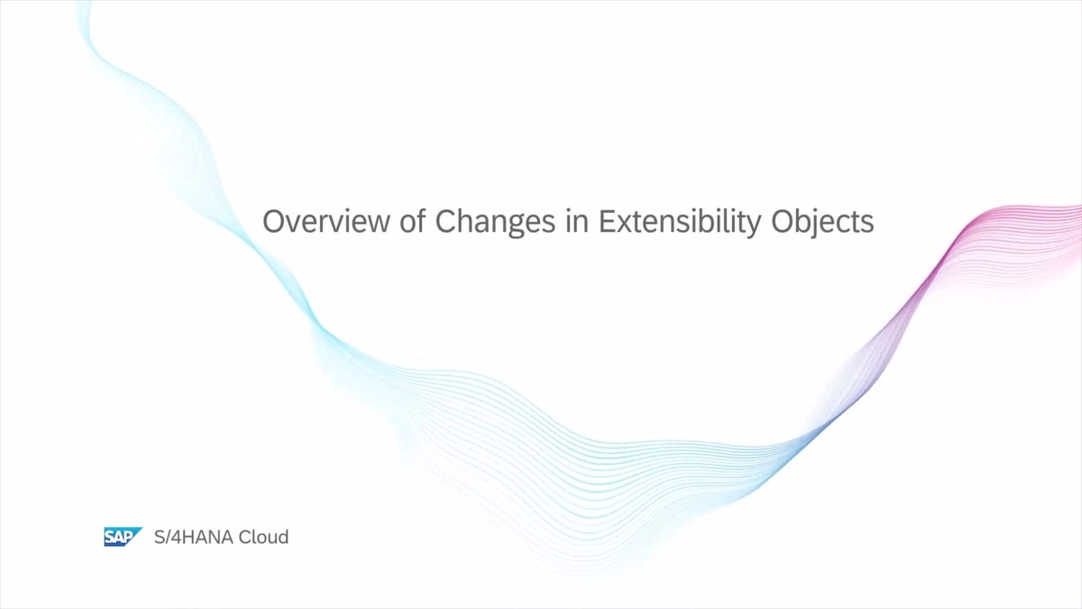 SAP Video - Extensibility