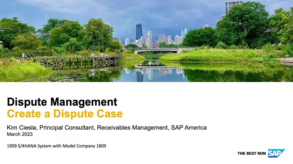 SAP Video - Dispute Management (Part 2): Create and Work with Dispute Cases