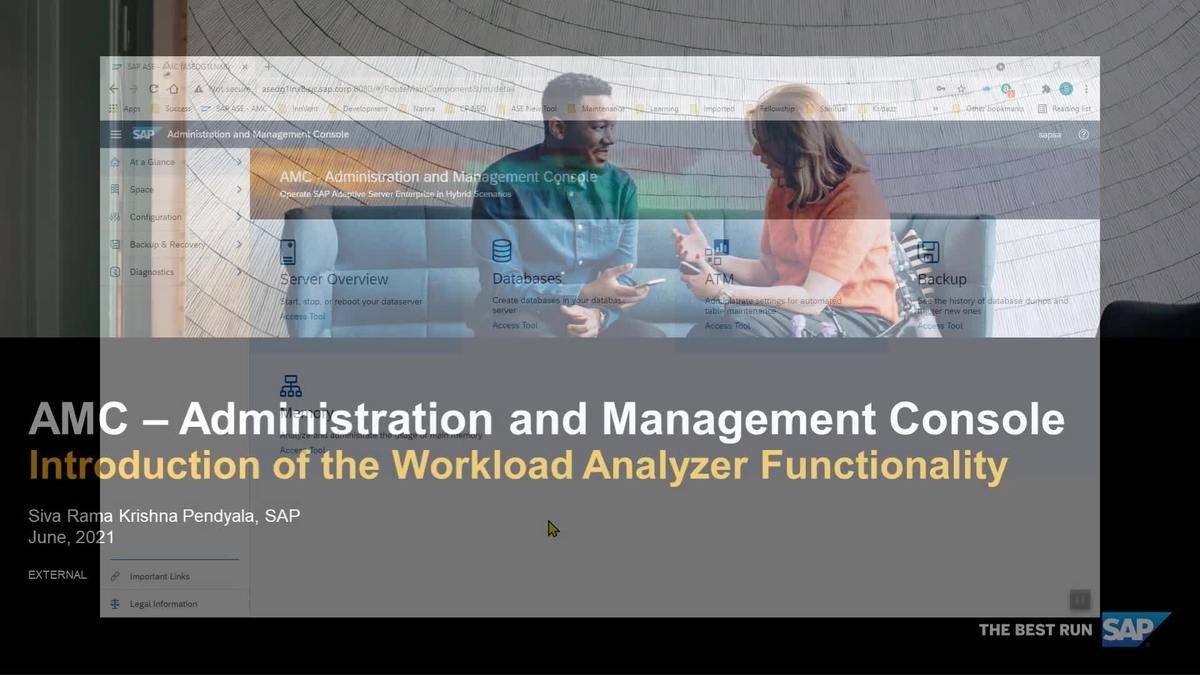 SAP Video - AMC - Introduction of the Workload Analyzer Functionality