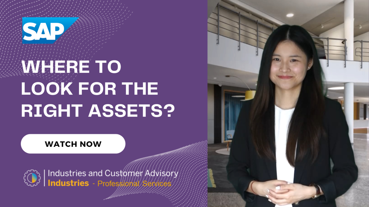 SAP Video - Meeting Your ProServ Industry Expert