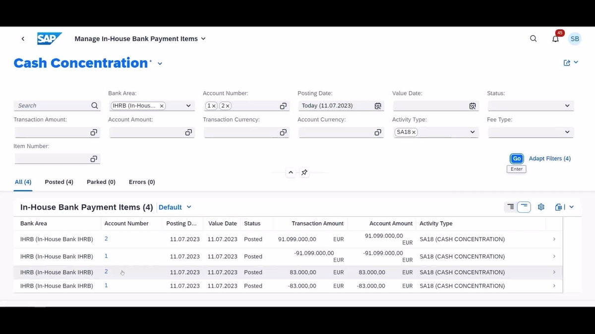 SAP Video - 2308 | Cash Pooling in SAP S/4HANA Cloud for Advanced Payment Management, Public ...