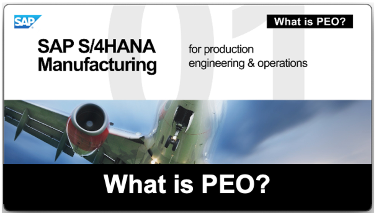 SAP Video - 01 What is PEO