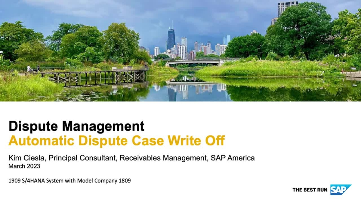 SAP Video - Dispute Management (Part 3): Automatic Dispute Case Write ...