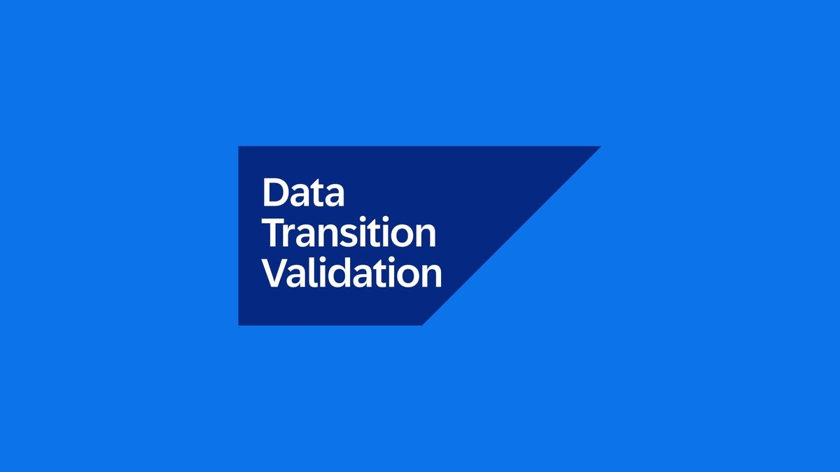 SAP Video - Data Transition Validation