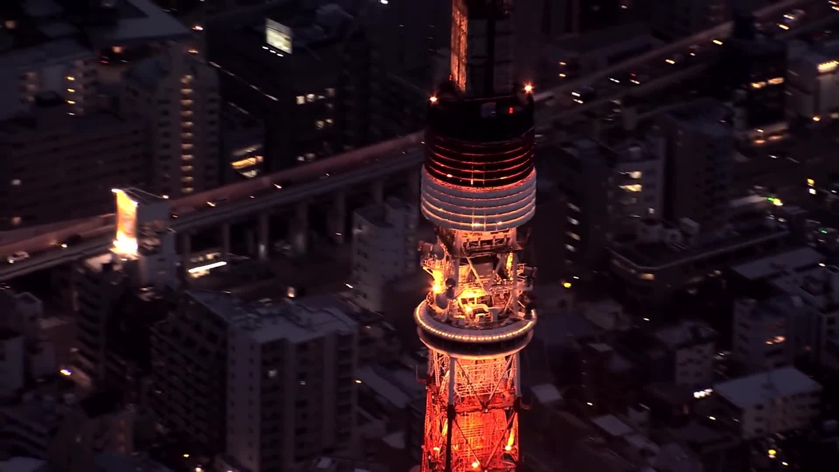 SAP Video - SAP Supply Chain Control Tower - From Insight to Action for ...