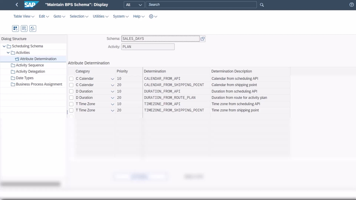 SAP Video - Introduction to BPS